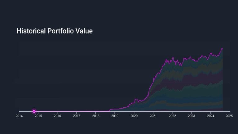 My Stock Portfolio Analysis: Aug 2024
