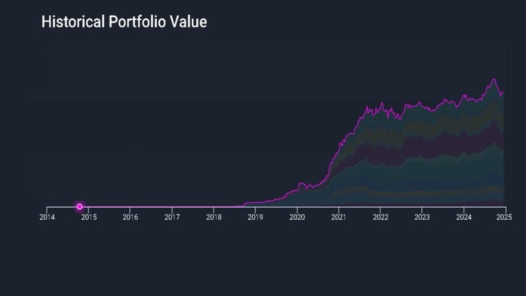My Stock Portfolio Analysis: Dec 2024